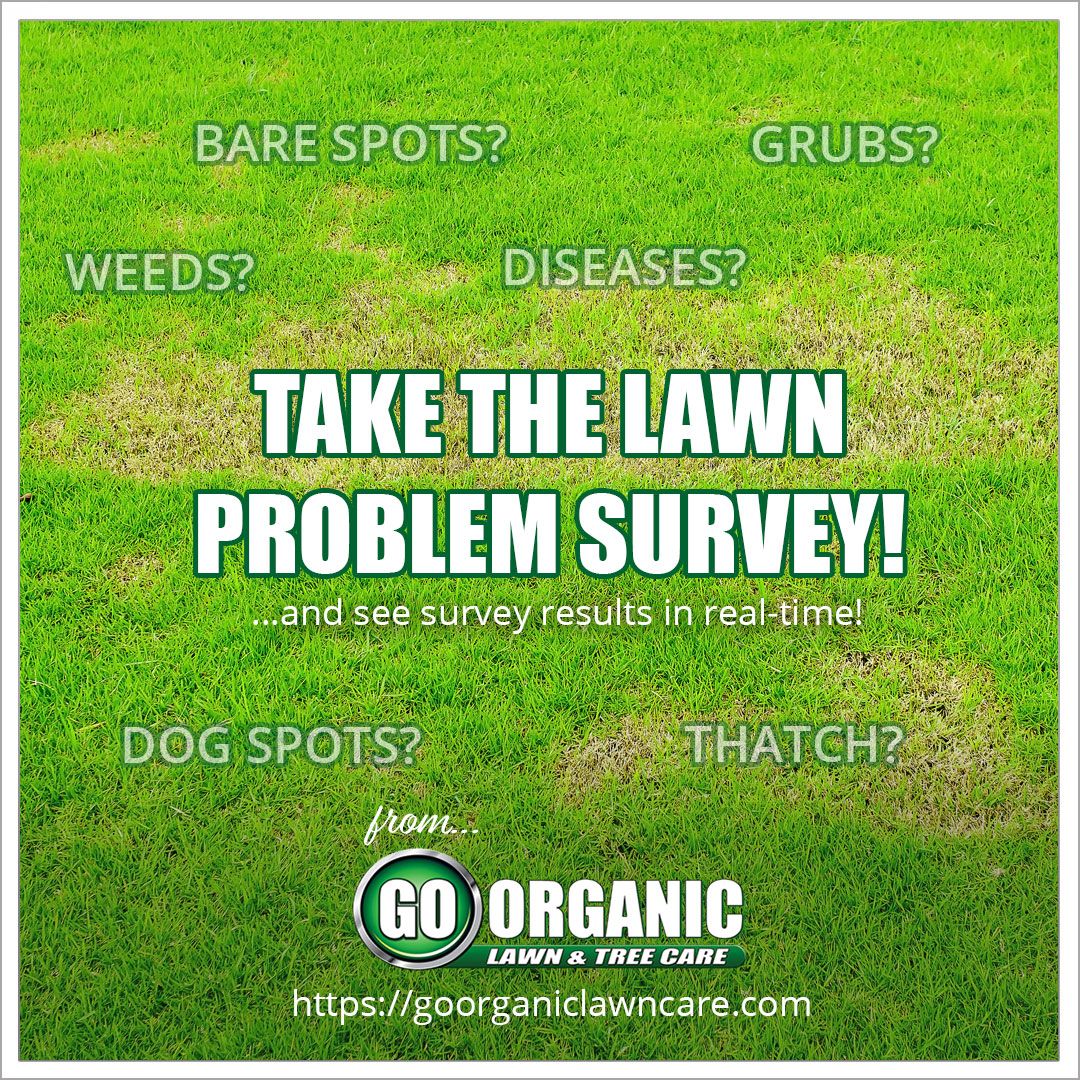 Take the 2019 Go Organic Lawn Problem Survey! – Go Organic Lawn Care