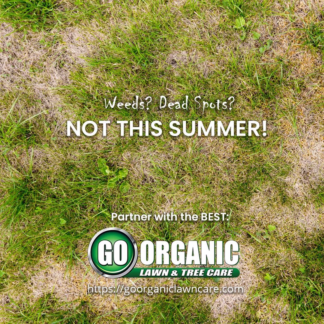 Go Organic Lawn Care – The Healthier Choice in Lawn Care | 973-790-3638