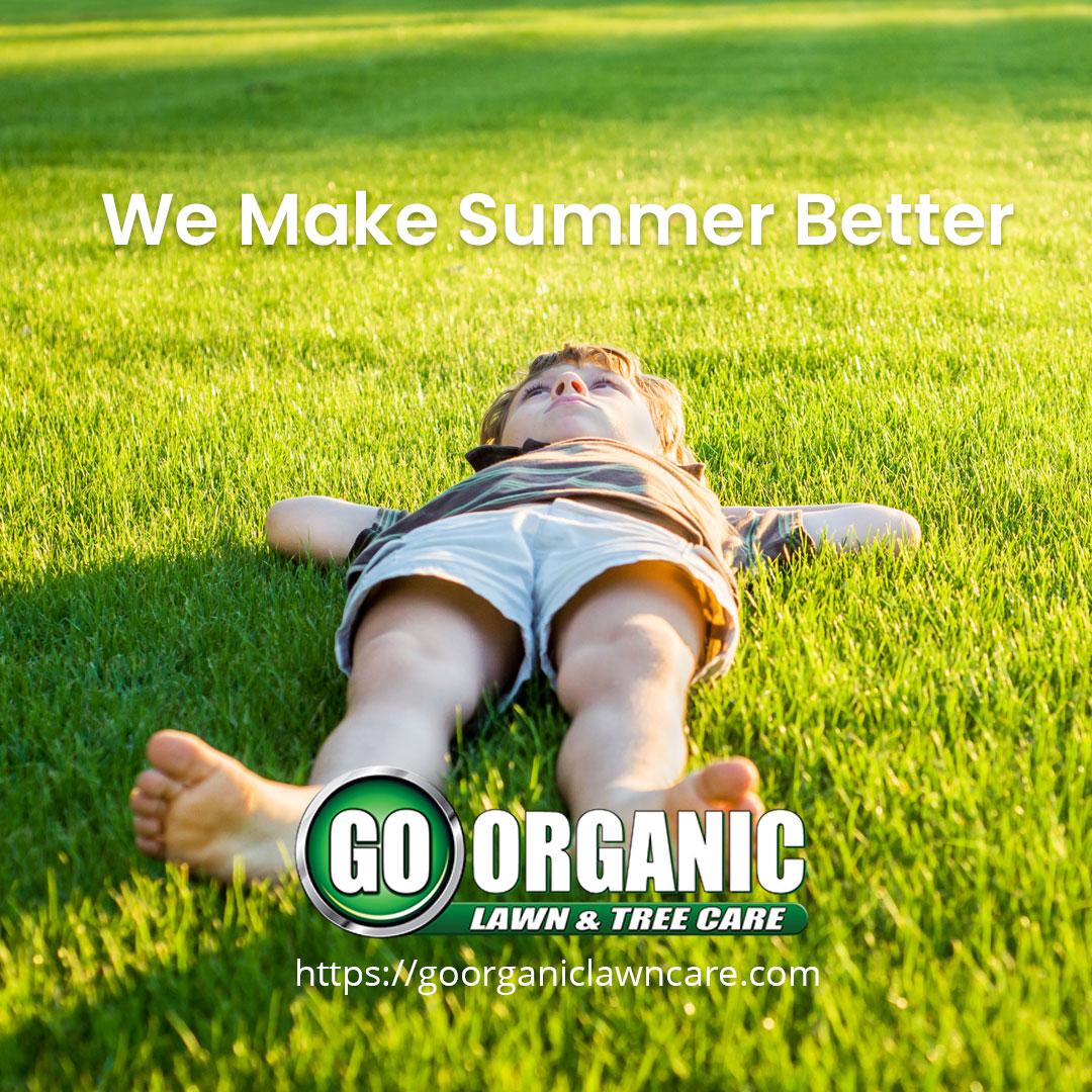 Think of Summer… – Go Organic Lawn Care